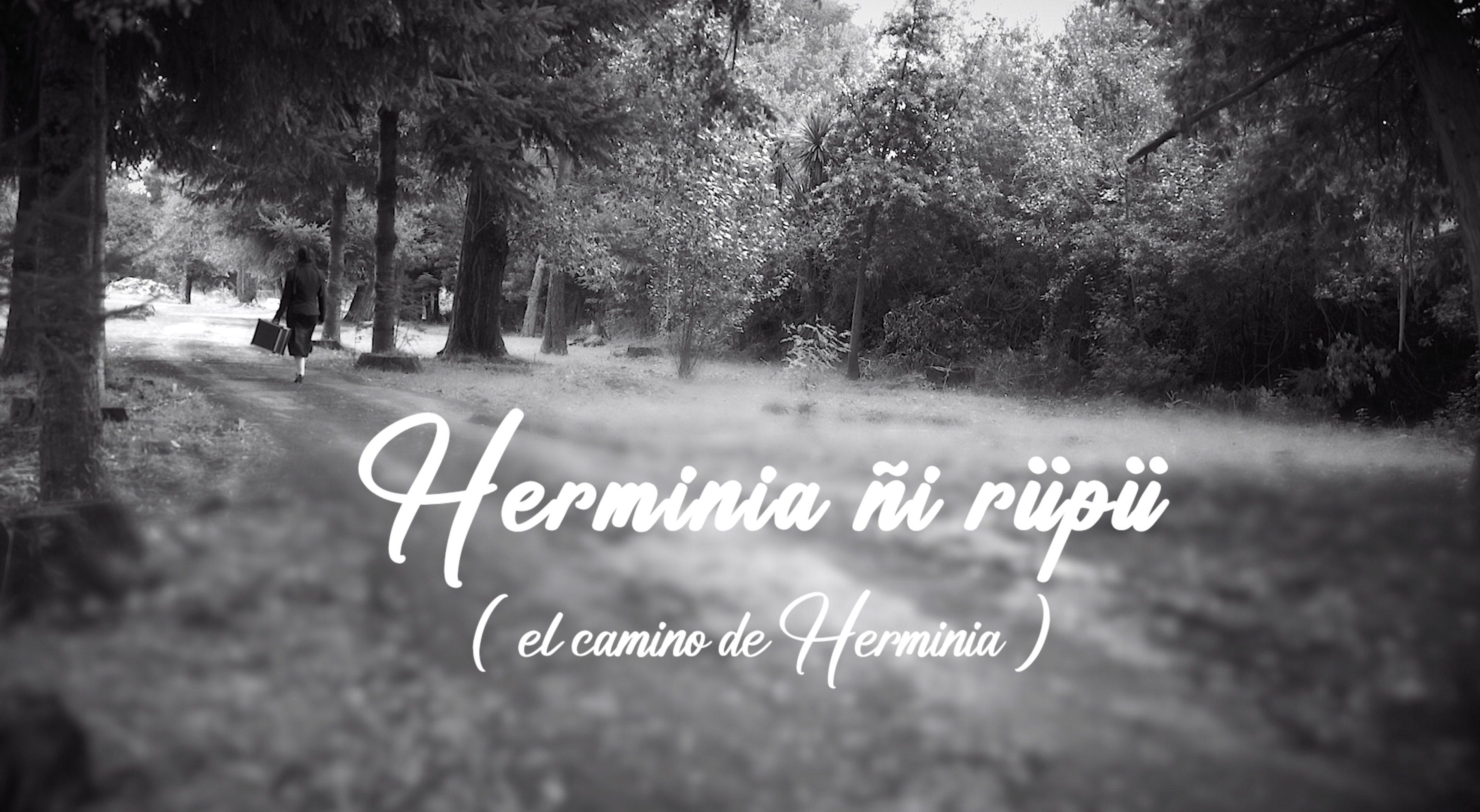 Se estrena el primer documental sobre Hermina Aburto Colihueque ...